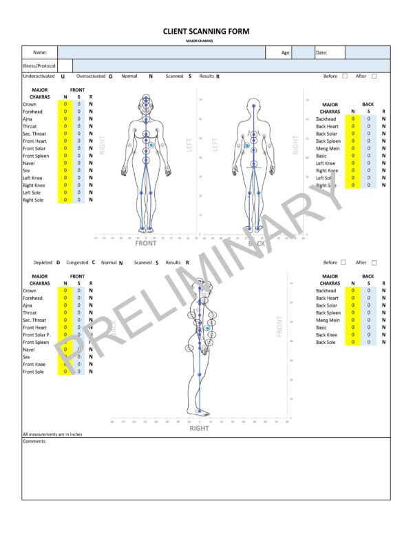 Pranic Healing Scanning Form in Excel – TresRoses