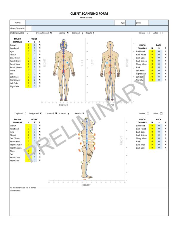 Pranic Healing Scanning Form in Excel – TresRoses