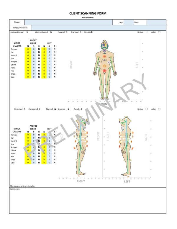 Pranic Healing Scanning Form in Excel – TresRoses