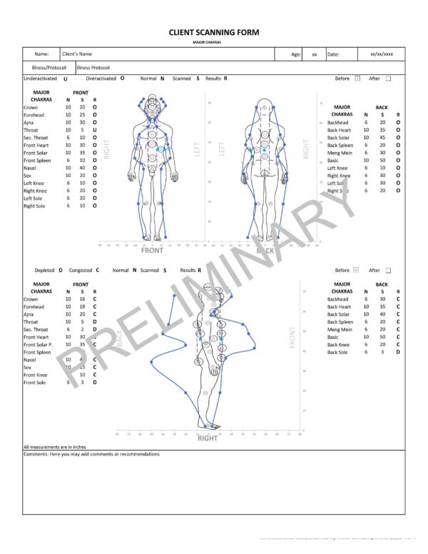 Pranic Healing Scanning Form in Excel – TresRoses